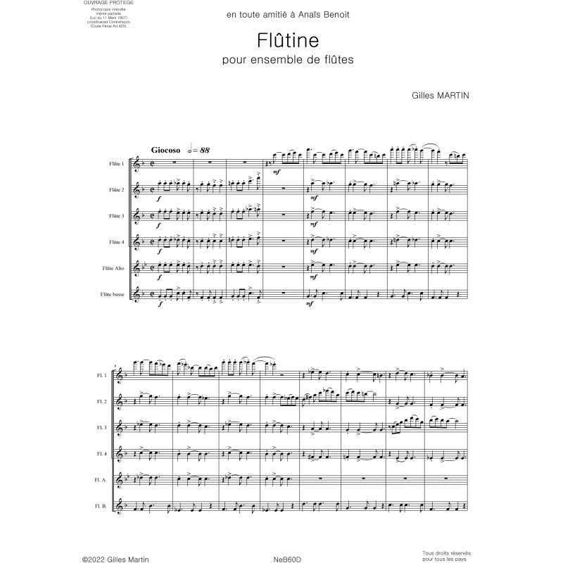 Gilles Martin Flûtine